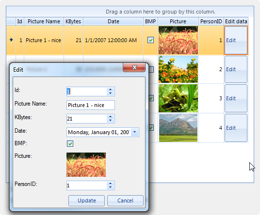 Custom Row Editor For Radgridview In Ui For Winforms Gridview Telerik